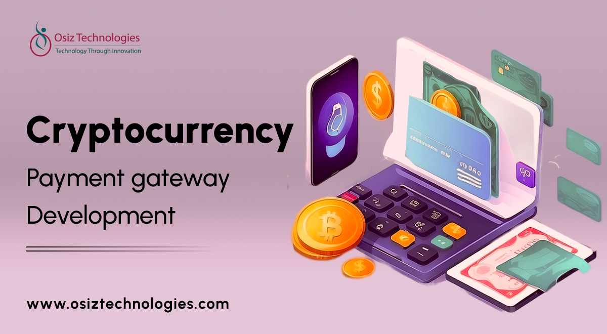 Cryptocurrency Payment Gateway Development Company | Osiz
